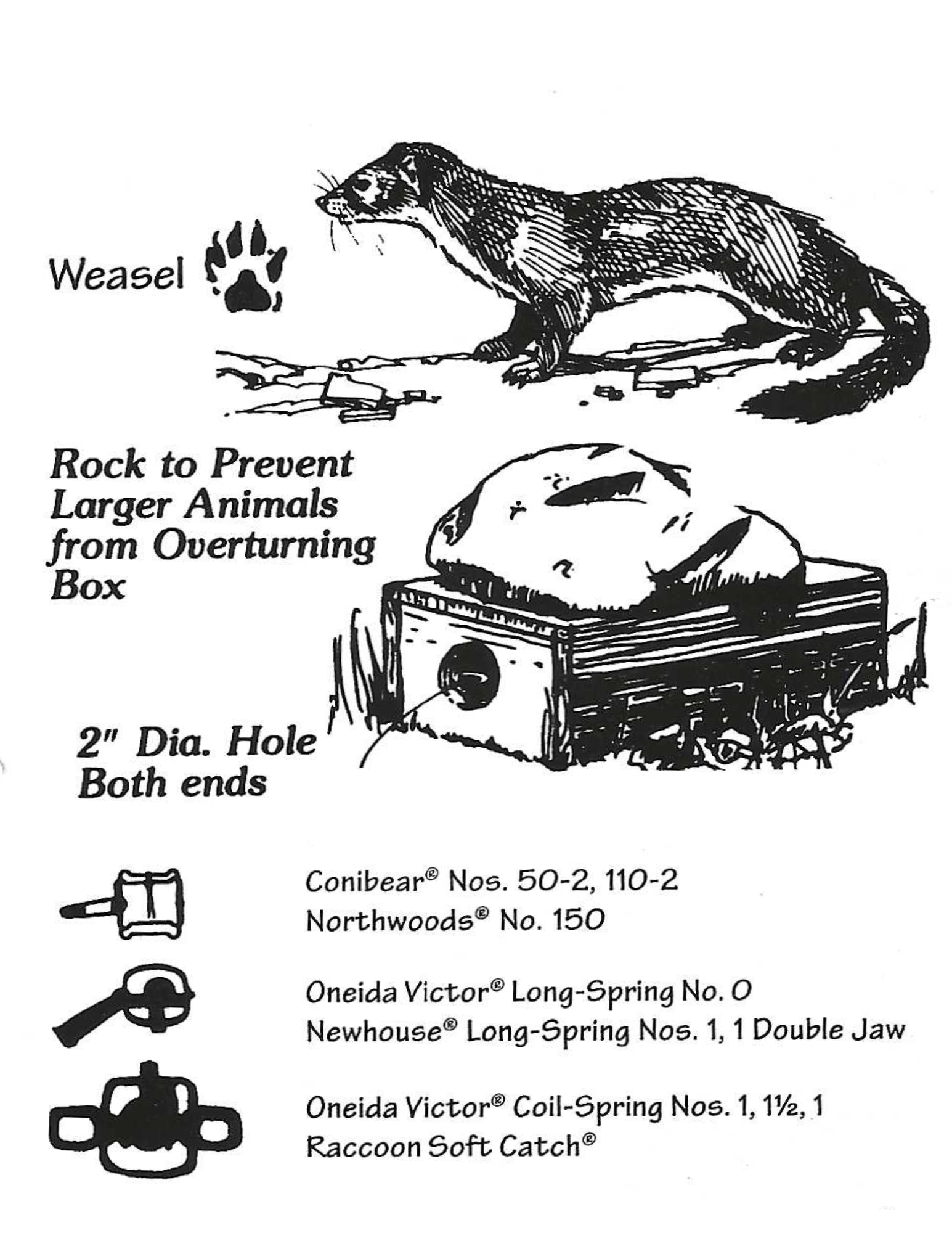 Weasel Trap – Oneida Victor